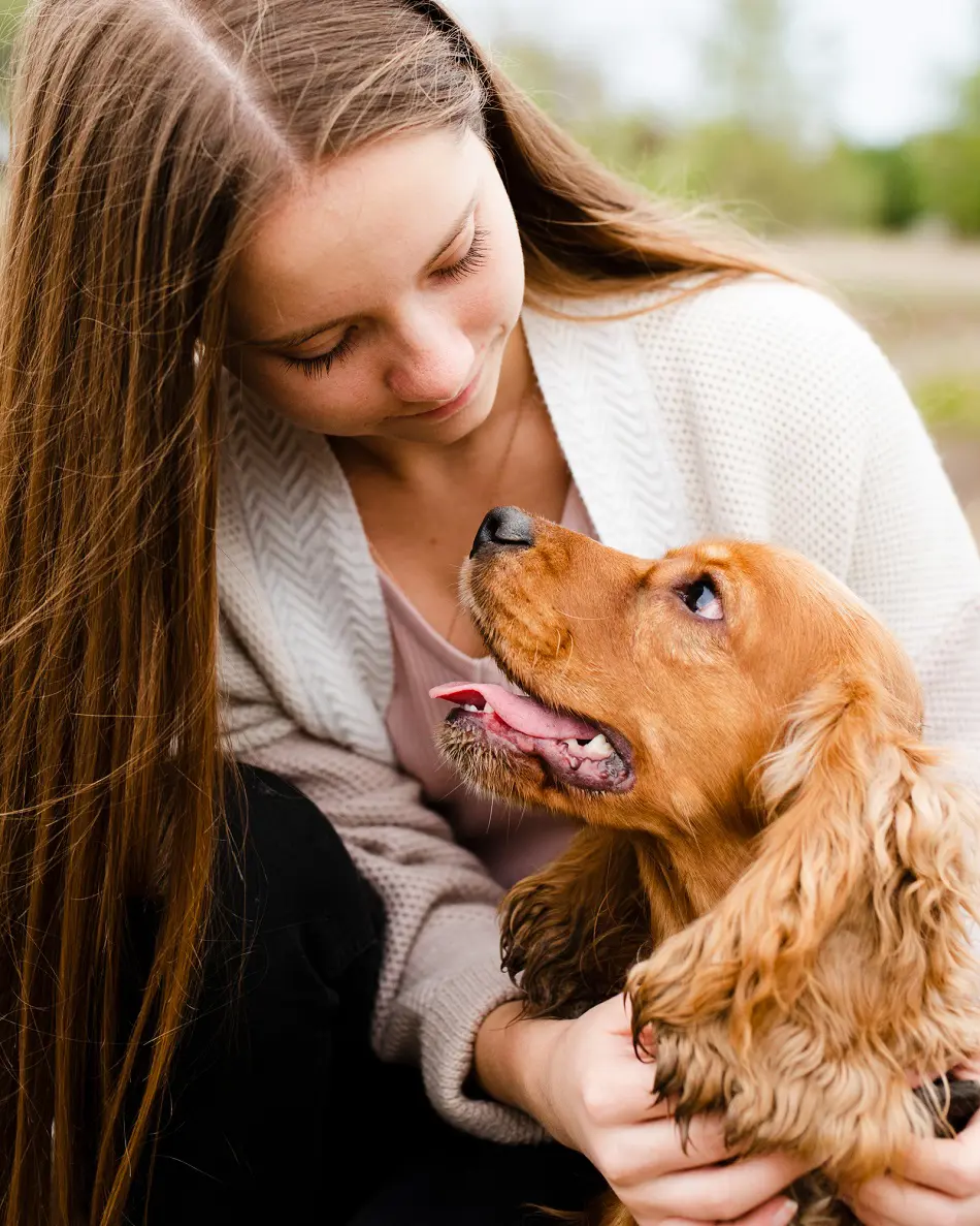 How To Show Dogs That You Love Them