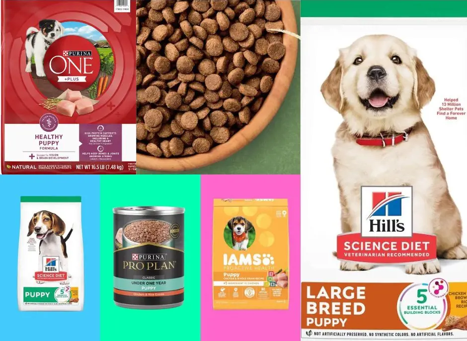 Nutritious Puppy Foods For Ultimate Growth